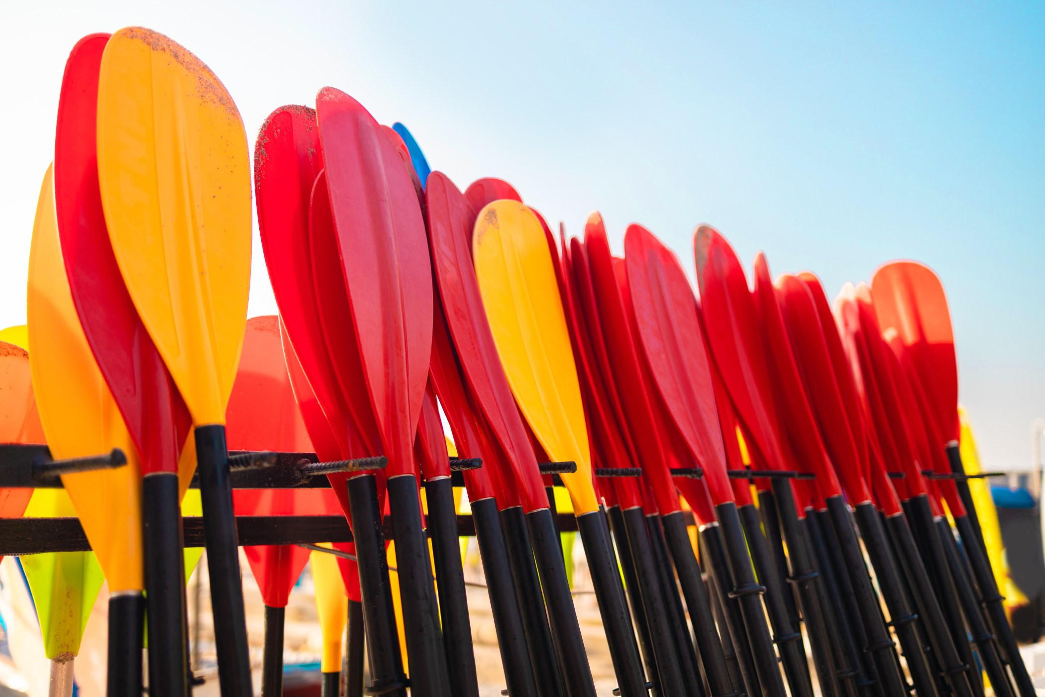 PFD Rentals Without Raft Rentals: Calgary, AB
